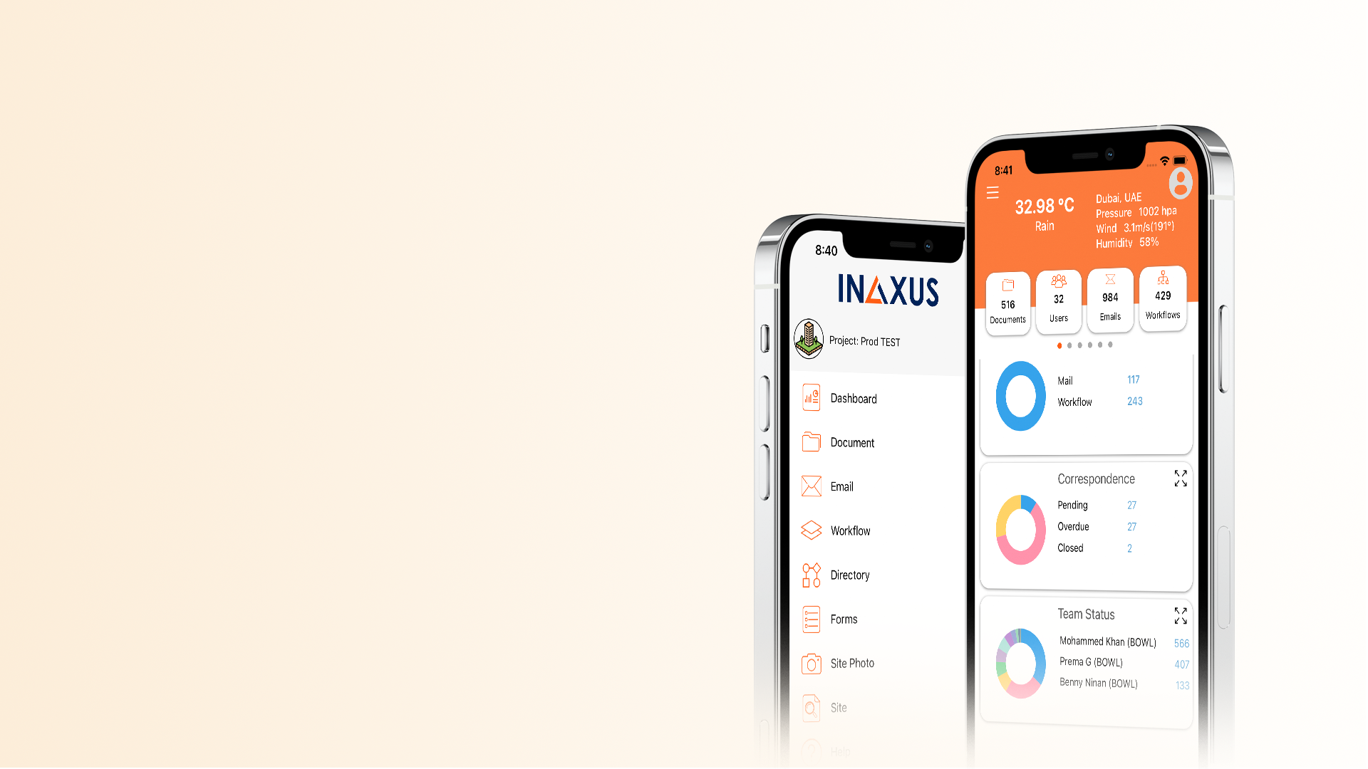 INAXUS Standard - Advanced Project management solution within budget